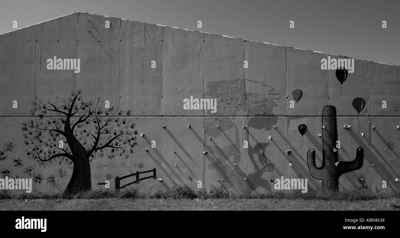 Cactus with graffiti Black and White Stock Photos & Images - Alamy