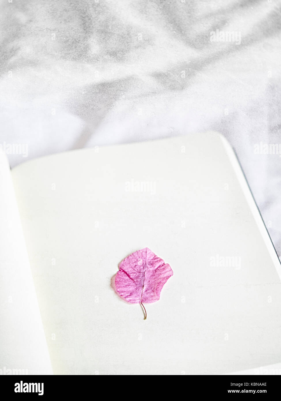 Pressed flower in a note book Stock Photo - Alamy