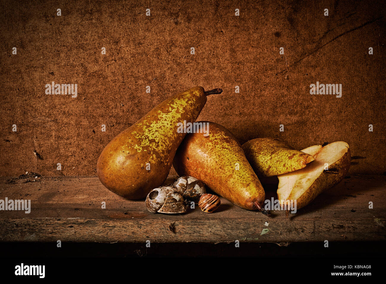Still life of pears and snail shells Stock Photo - Alamy