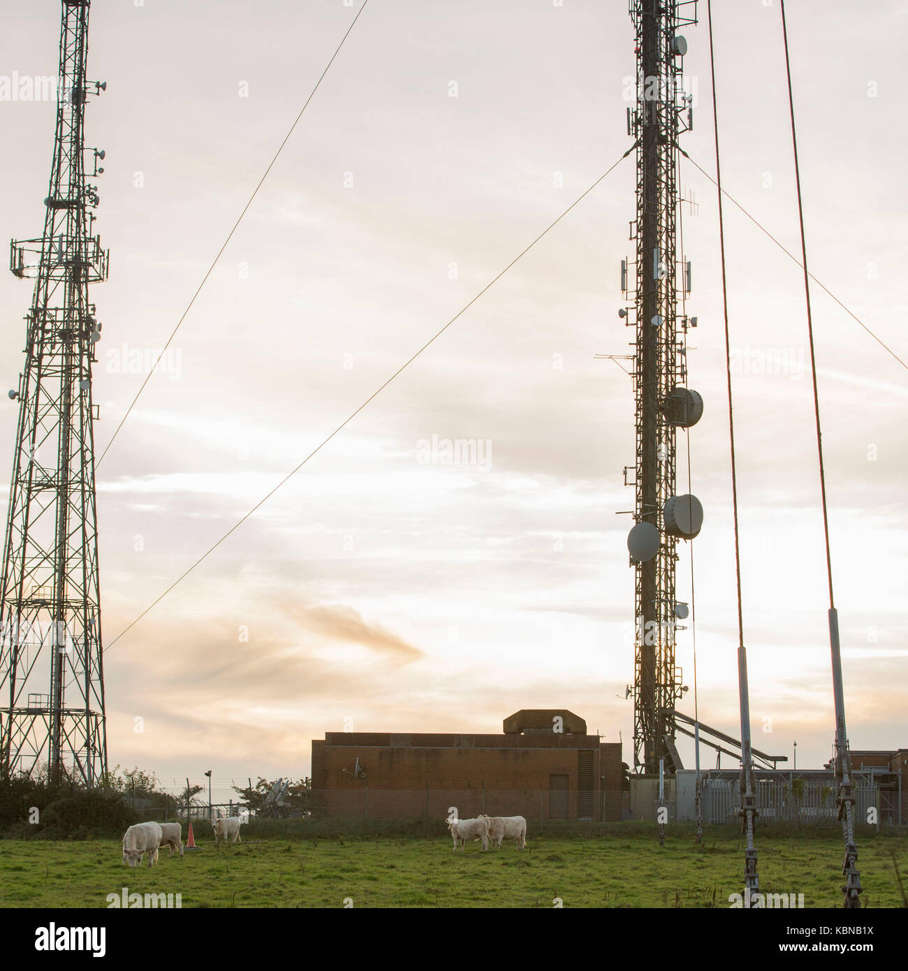 Bbc Transmitter Mast Stock Photos & Bbc Transmitter Mast Stock Images ...