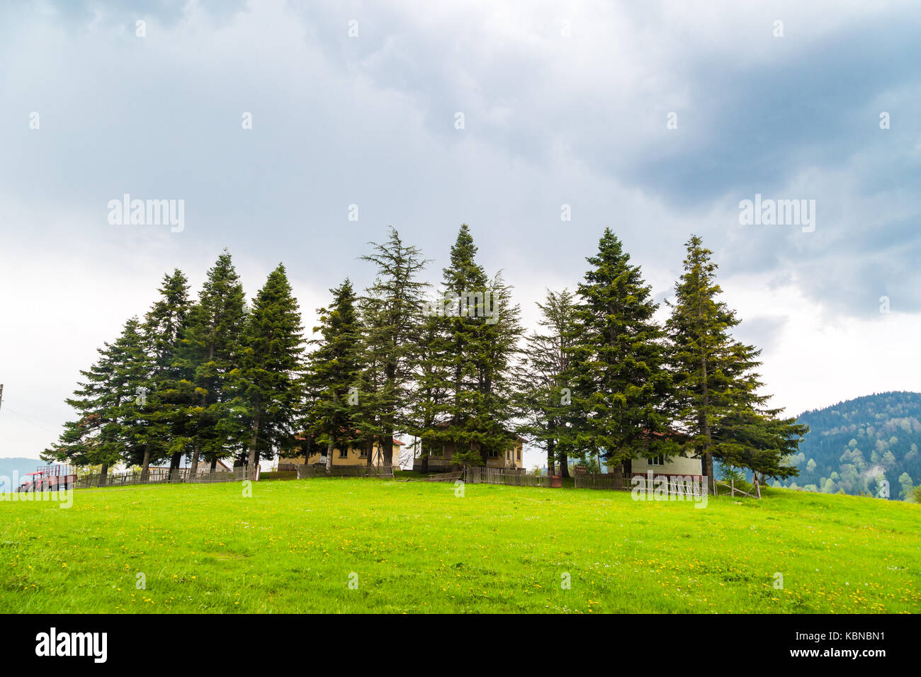 View of mountain house among big trees at the top of a plateau on ...