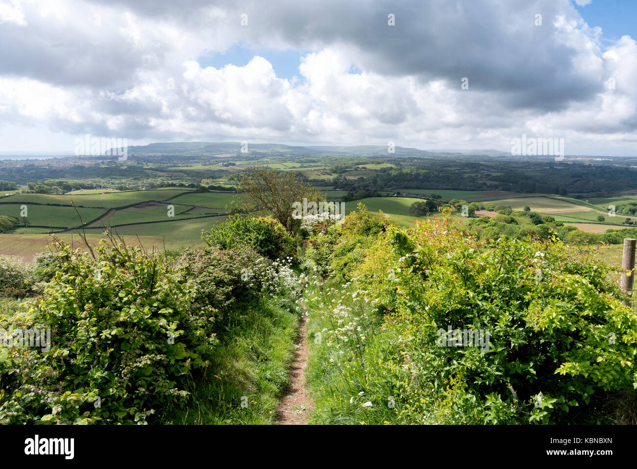 Brading Down looking West towards Ventnor Downs Stock Photo - Alamy