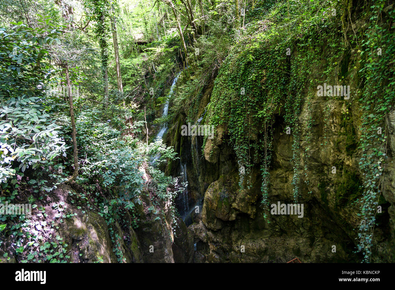 General front view of Samandere Waterfall plashing from high rocks ...