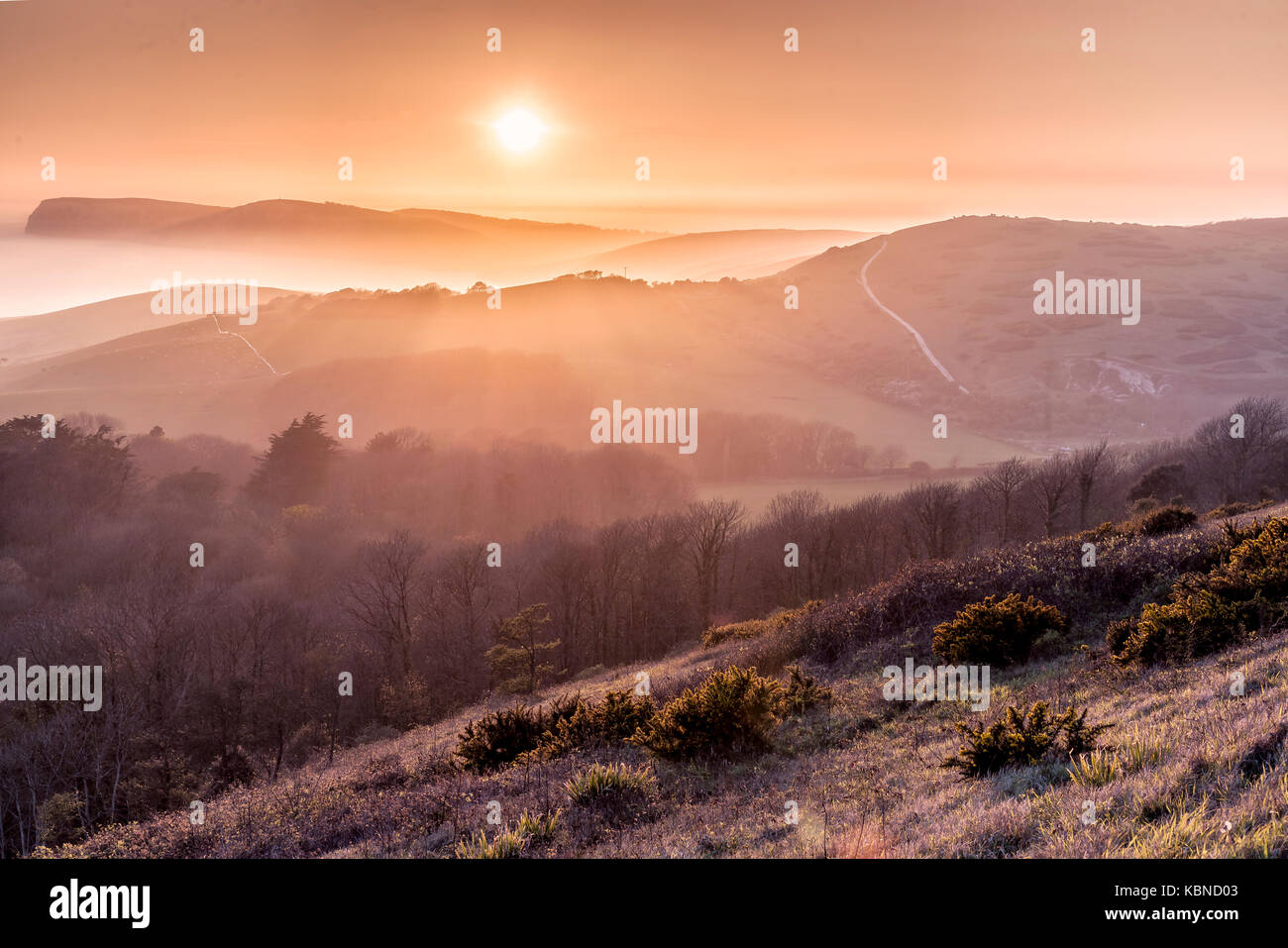 Mottistone, Isle of Wight looking towards The Needles from Mottistone ...