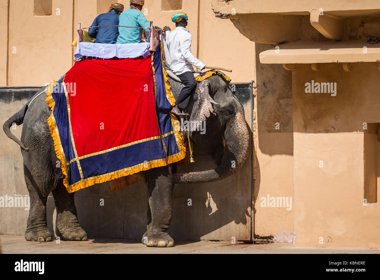 Decorated elephants in Jaleb Chowk in Amber Fort in Jaipur, India Stock ...