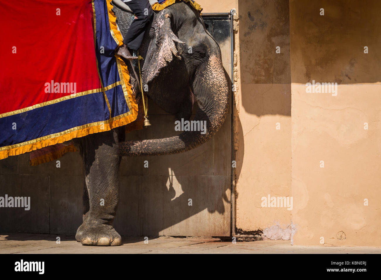 Jaleb chowk amber hi-res stock photography and images - Alamy
