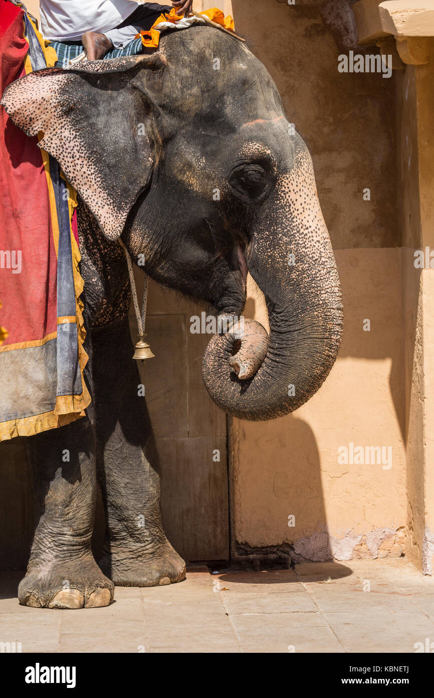 Jaleb chowk amber hi-res stock photography and images - Alamy