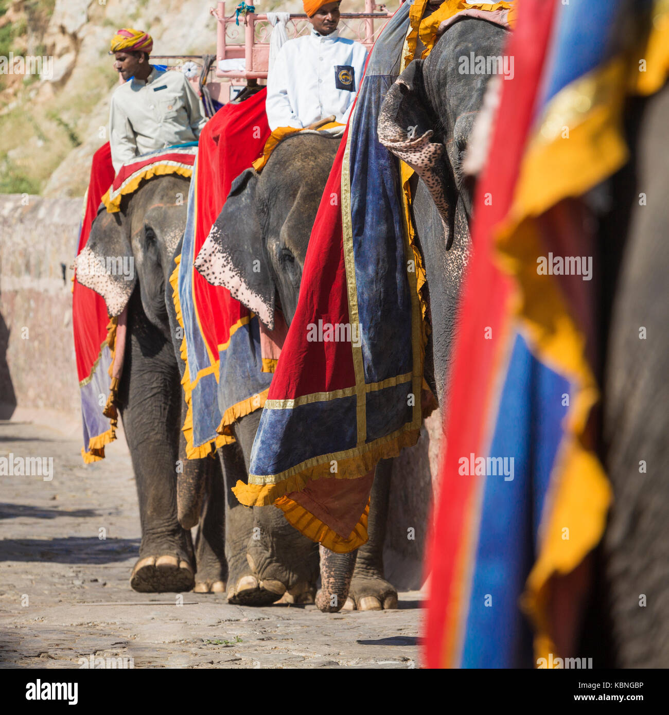 Decorated elephants in Jaleb Chowk in Amber Fort in Jaipur, India Stock ...