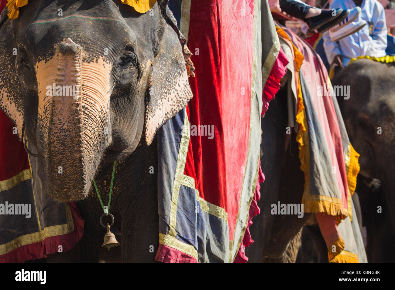 Decorated elephants in Jaleb Chowk in Amber Fort in Jaipur, India Stock ...