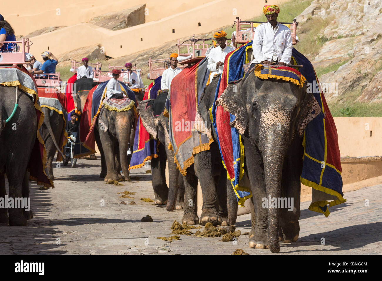 JAIPUR, INDIA - SEPTEMBER 18, 2017: Unidentified men ride decorated ...