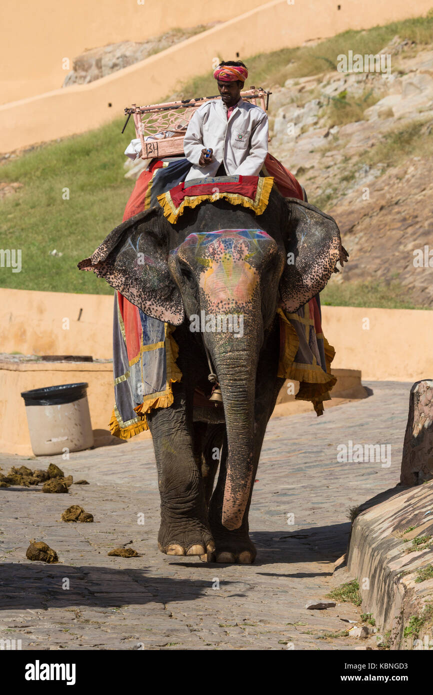 JAIPUR, INDIA - SEPTEMBER 18, 2017: Unidentified men ride decorated ...