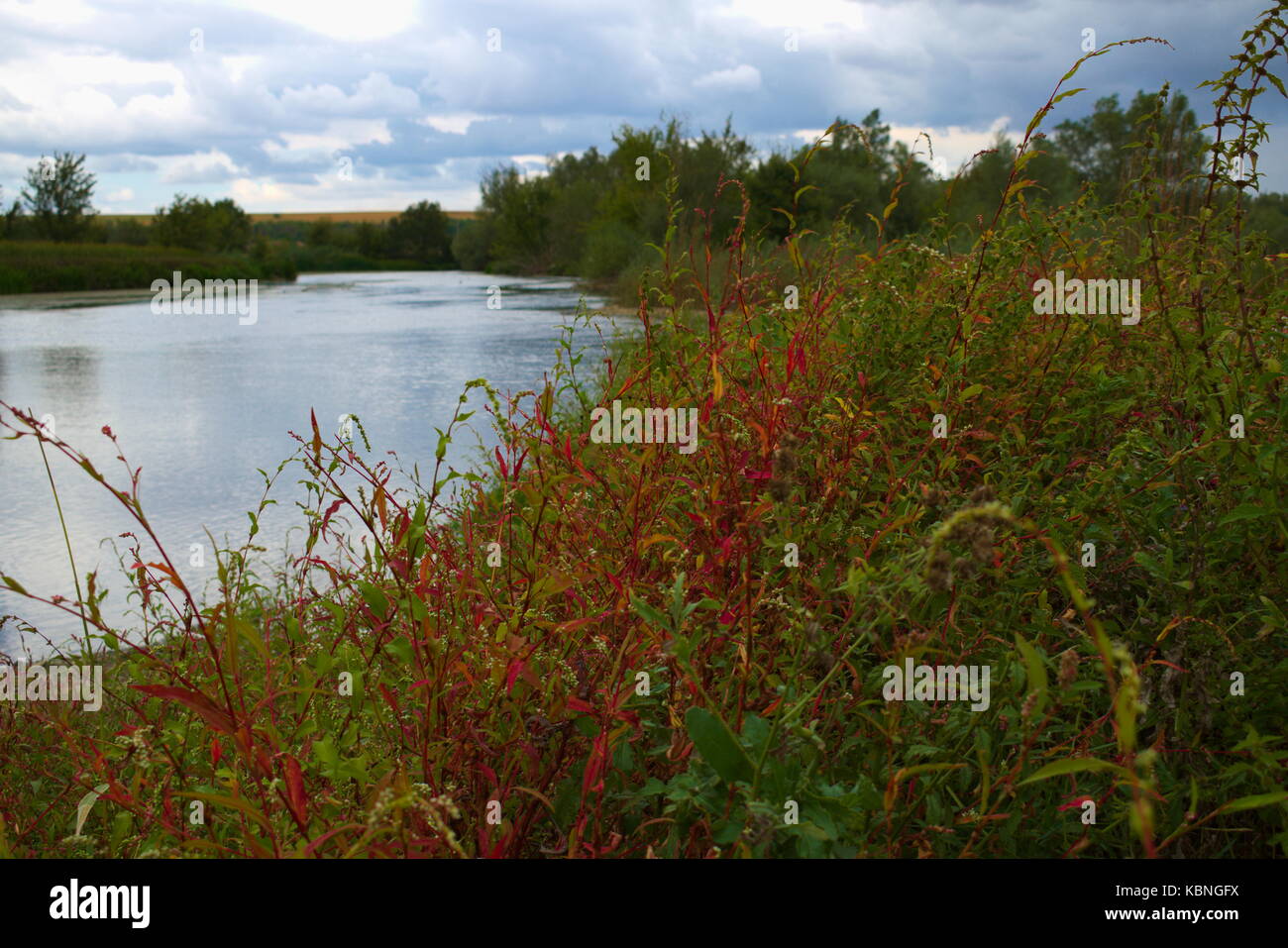 Pebble river ripples hi-res stock photography and images - Alamy