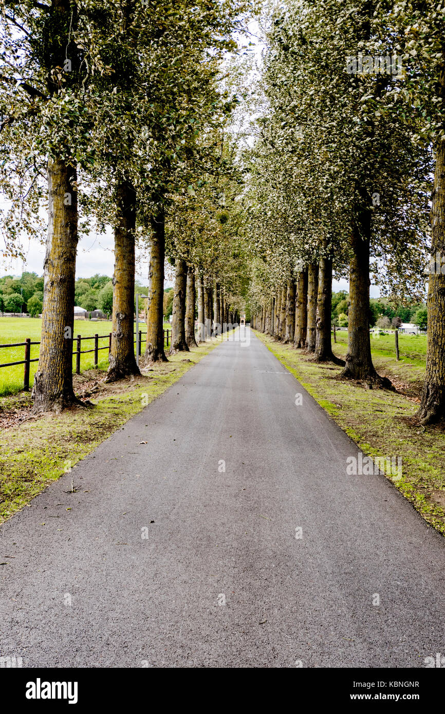 Schloss von faucon hi-res stock photography and images - Alamy