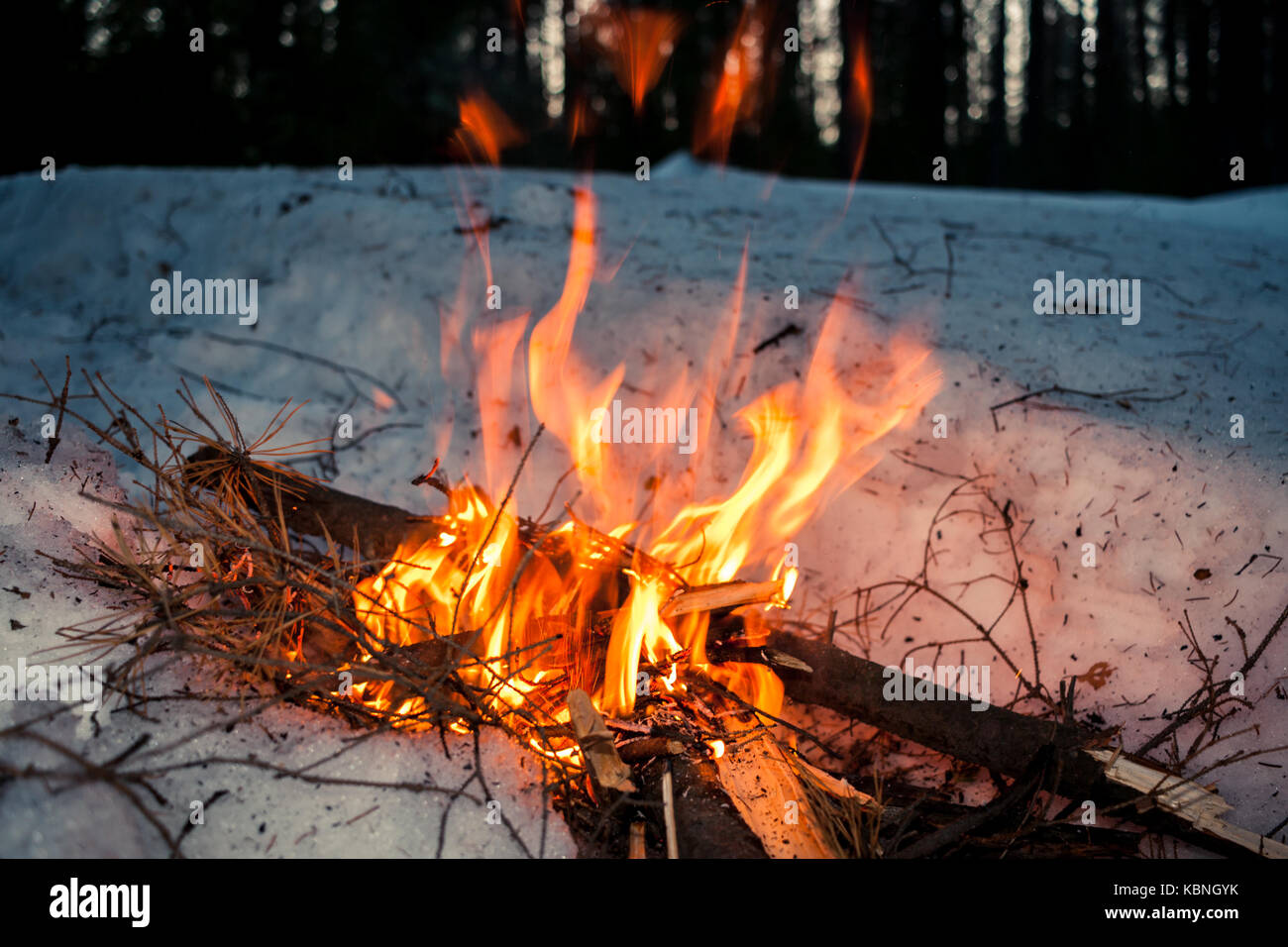 Close-up flames of bonfire in snow against background of winter night ...