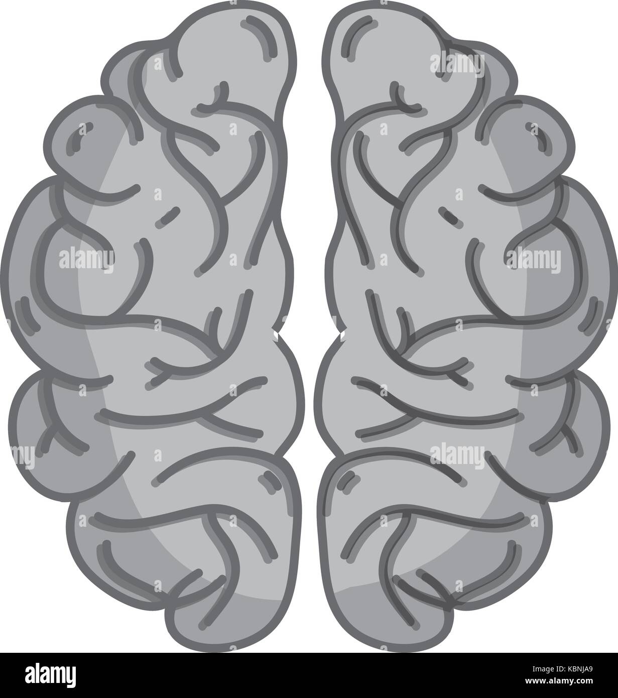 grayscale human brain anatomy to creative and intellect Stock Vector ...