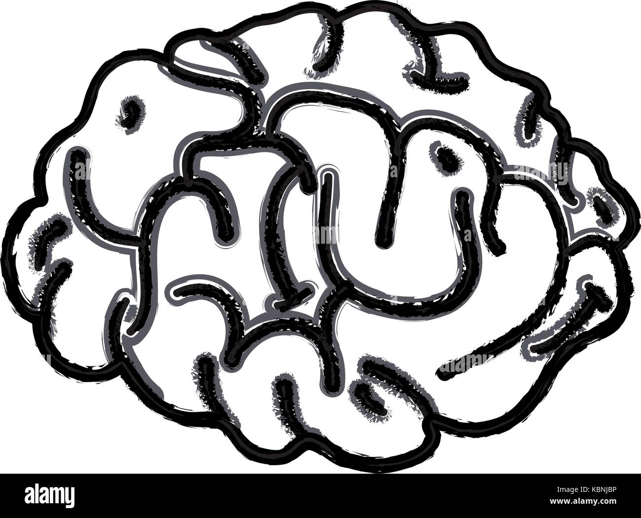 figure human brain anatomy to creative and intellect Stock Vector Image ...