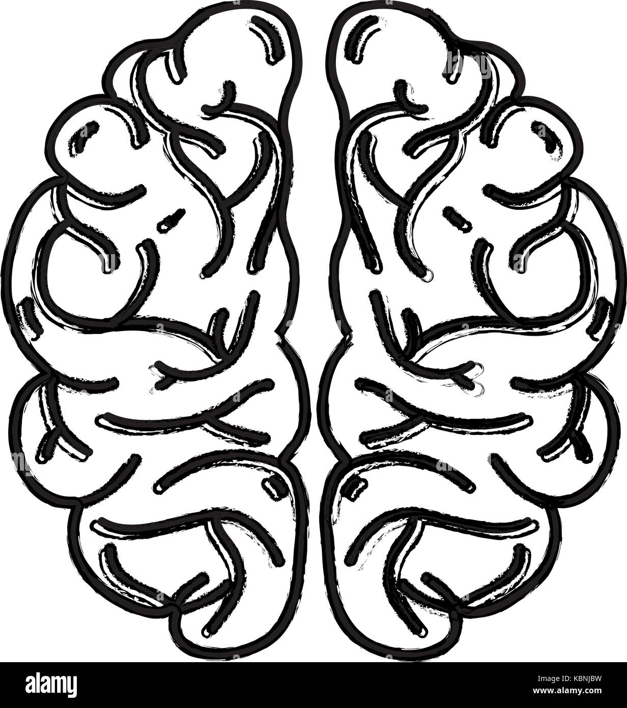 figure human brain anatomy to creative and intellect Stock Vector Image ...