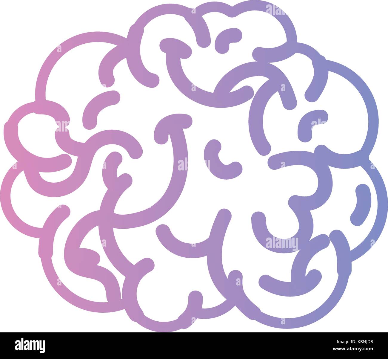line human brain anatomy to creative and intellect Stock Vector Image ...
