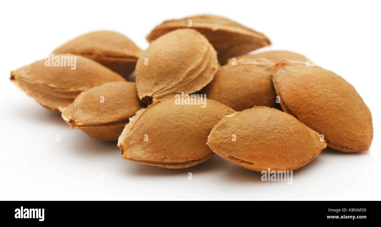 Seeds of apricot hi-res stock photography and images - Alamy