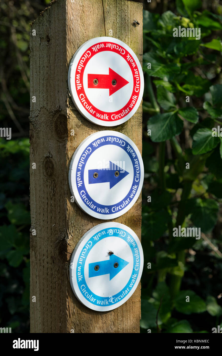 Circular pathway hi-res stock photography and images - Alamy