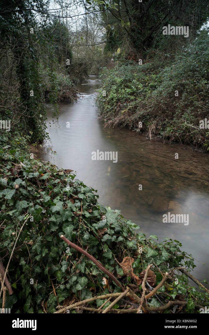 Witham River Walk High Resolution Stock Photography and Images - Alamy
