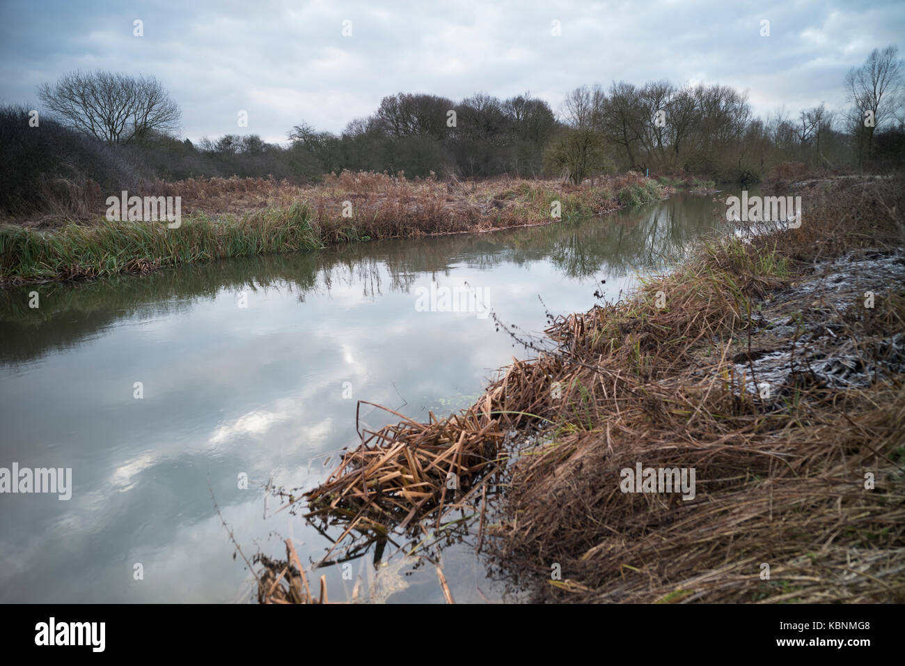 Witham River Walk High Resolution Stock Photography and Images - Alamy
