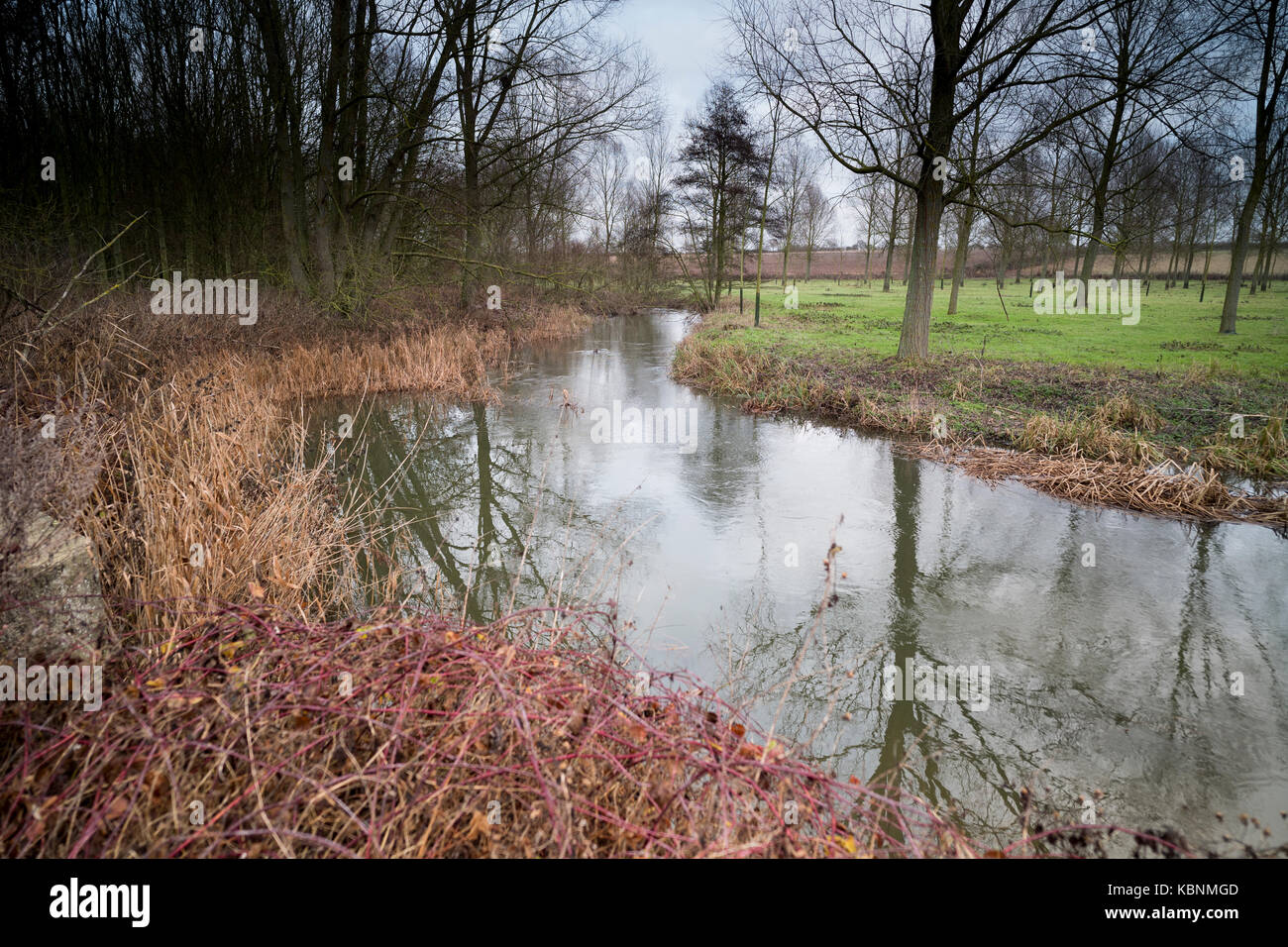 Witham river walk hi-res stock photography and images - Alamy