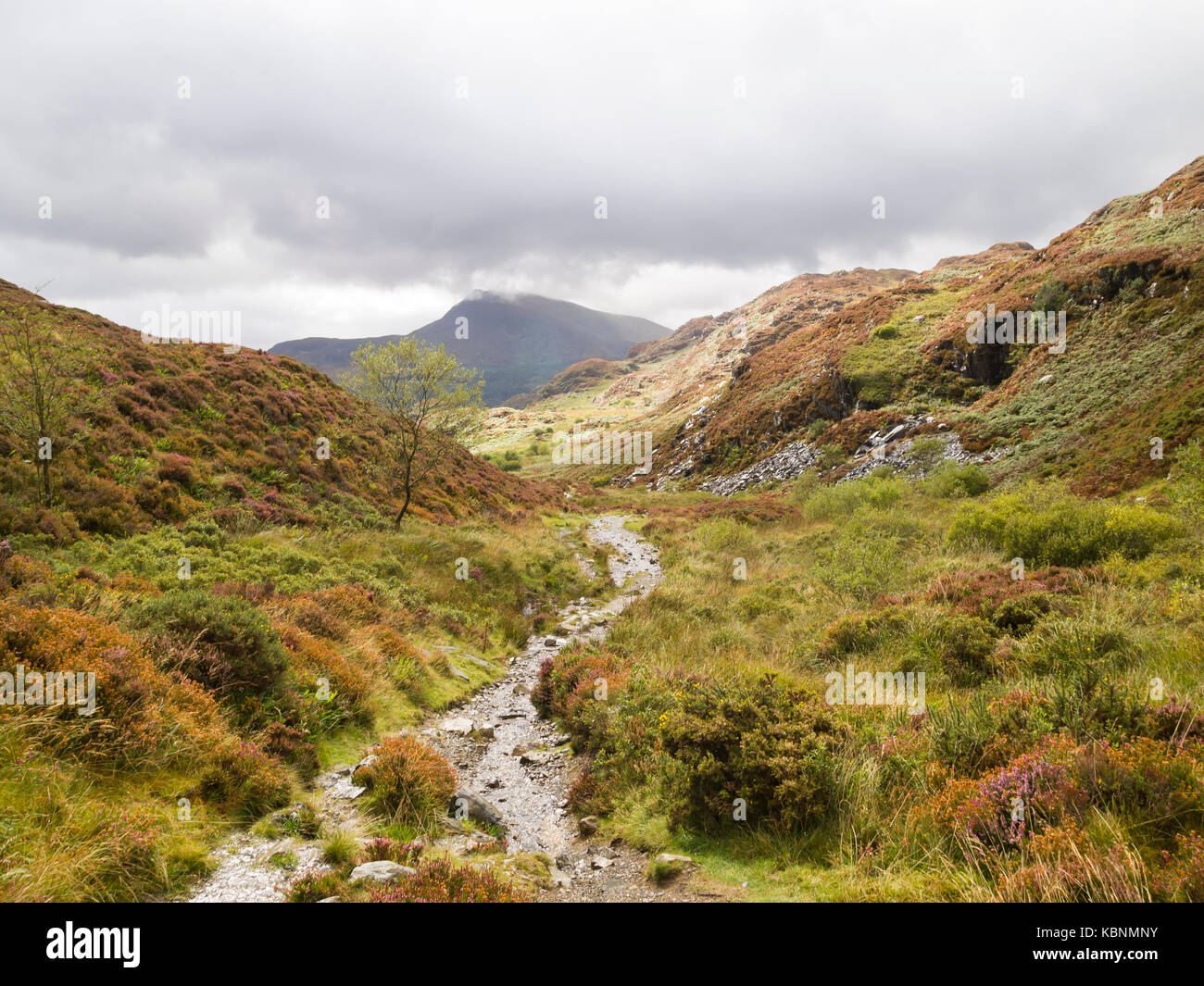 Snowdonia National Park Stock Photo - Alamy