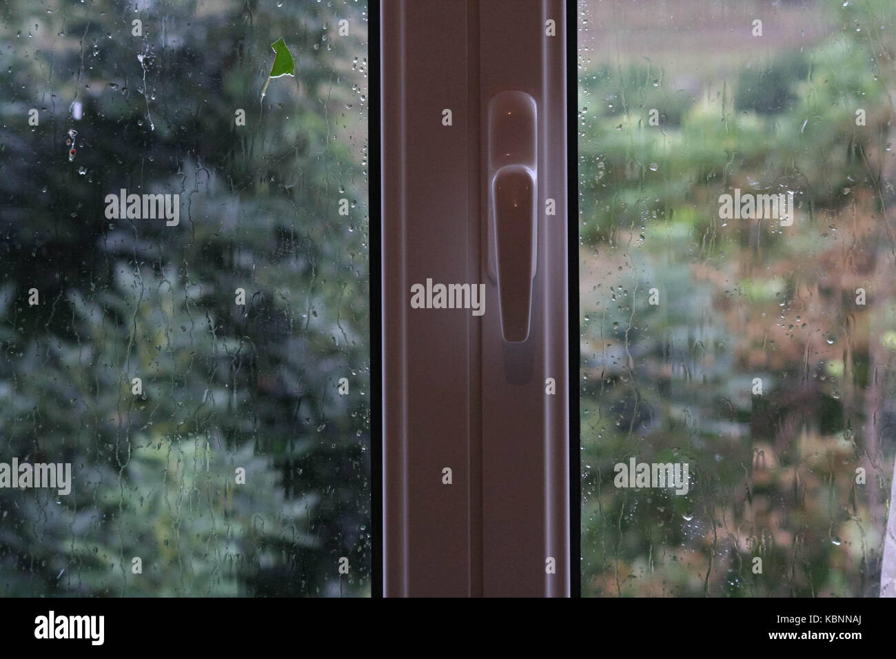 Pure raining hi-res stock photography and images - Alamy