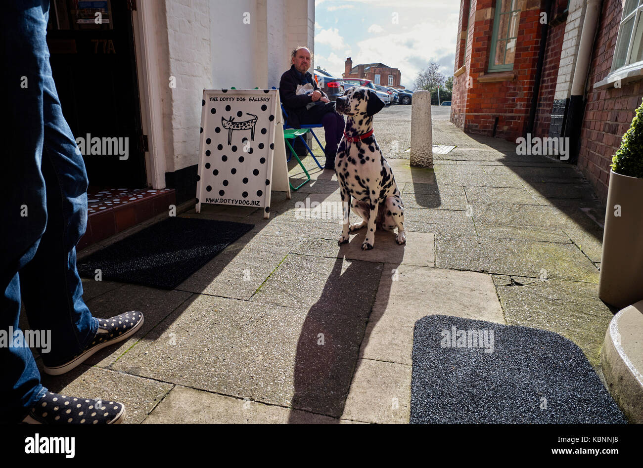 Dotty dog gallery hi-res stock photography and images - Alamy