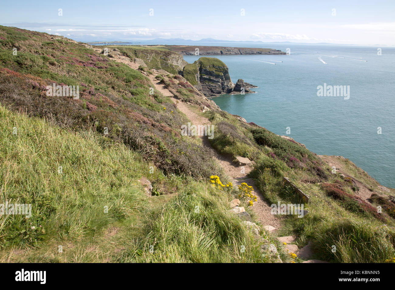 Cliffs at South Stack, Holy Island; Anglesey; Wales; UK Stock Photo - Alamy