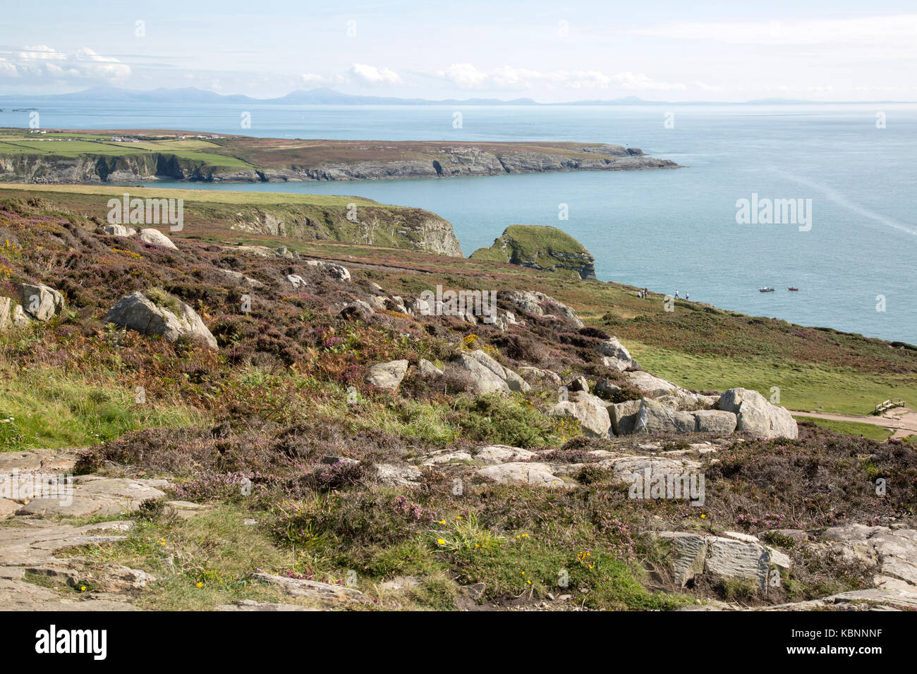 Cliffs at South Stack; Holy Island; Anglesey; Wales; UK Stock Photo - Alamy
