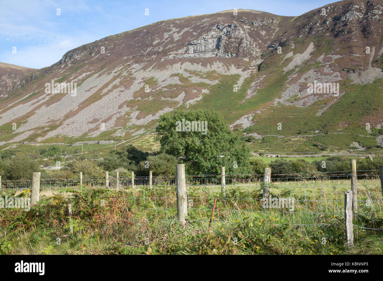 Landscape at Trefor; Caernarfon; Wales; UK Stock Photo - Alamy