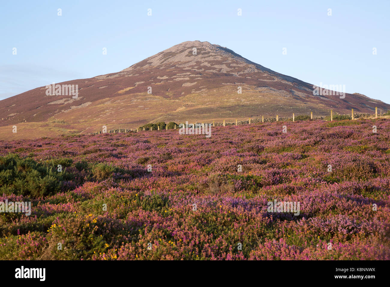 Yr Eifl Mountains near Llithfaen; Pwllheli; Llyn Peninsula; Wales; UK ...