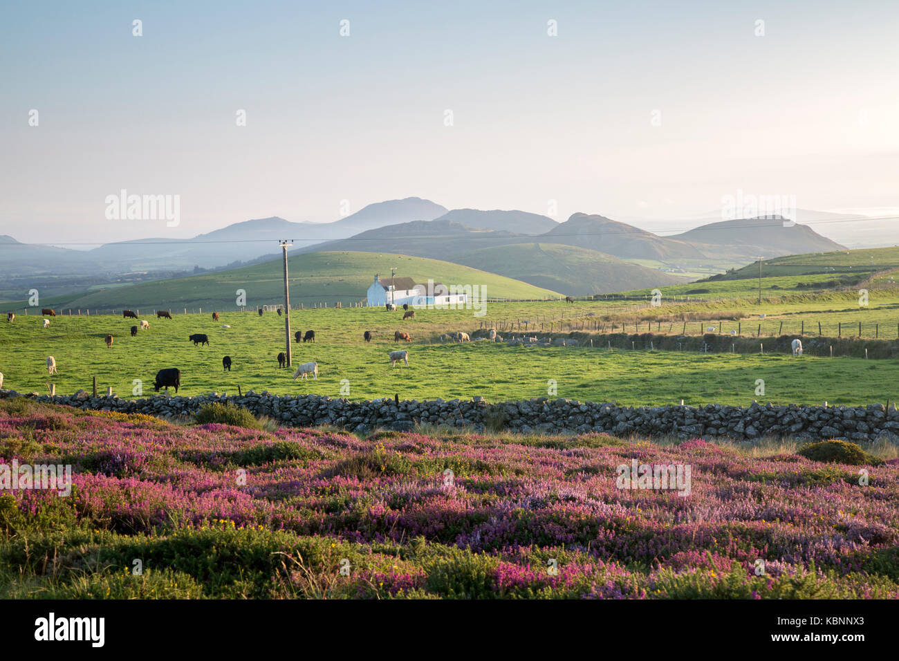 Llithfaen High Resolution Stock Photography and Images - Alamy