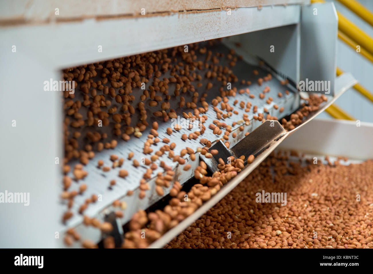 peanut process industry brazil Stock Photo - Alamy