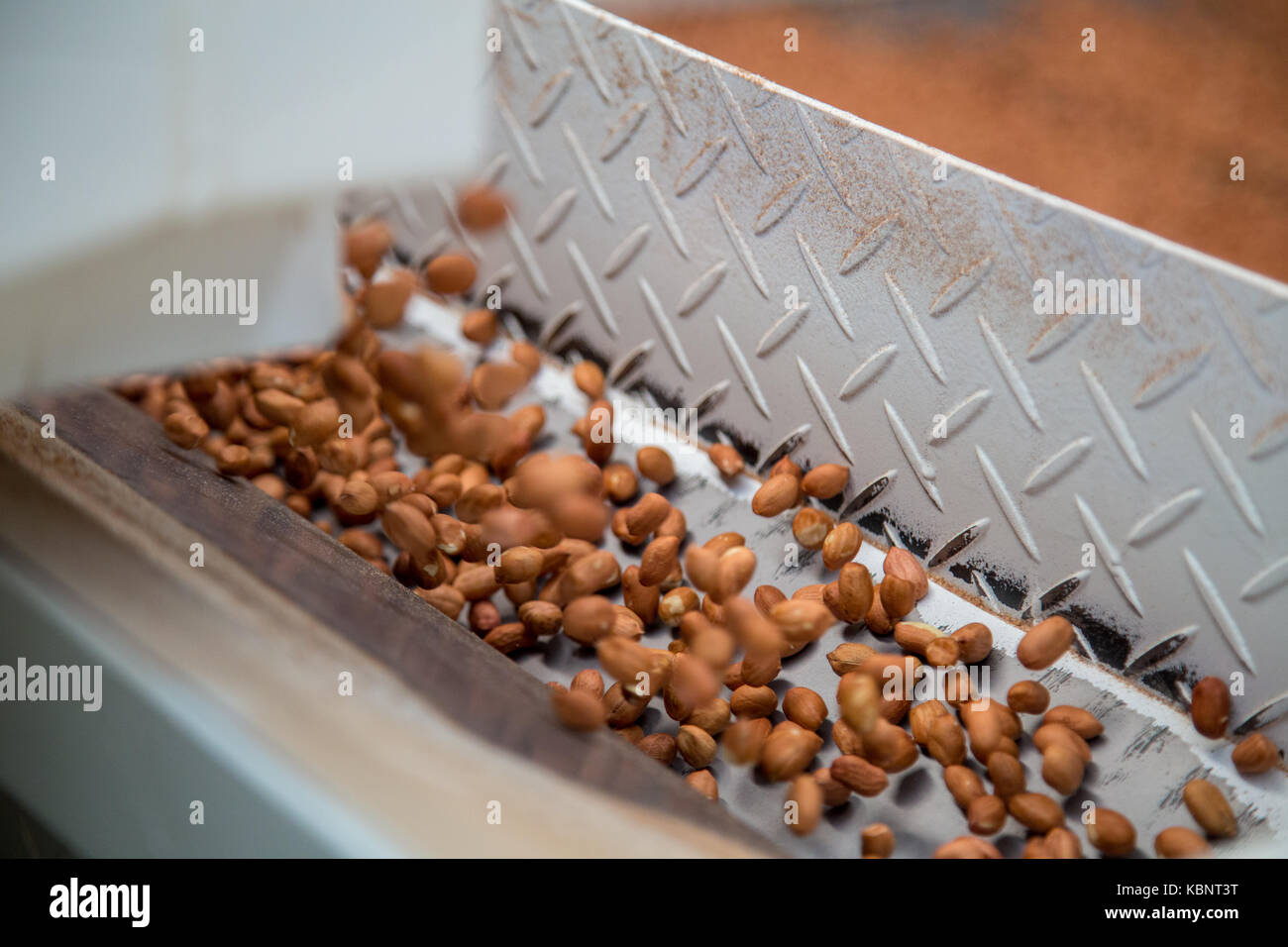 peanut process industry brazil Stock Photo - Alamy