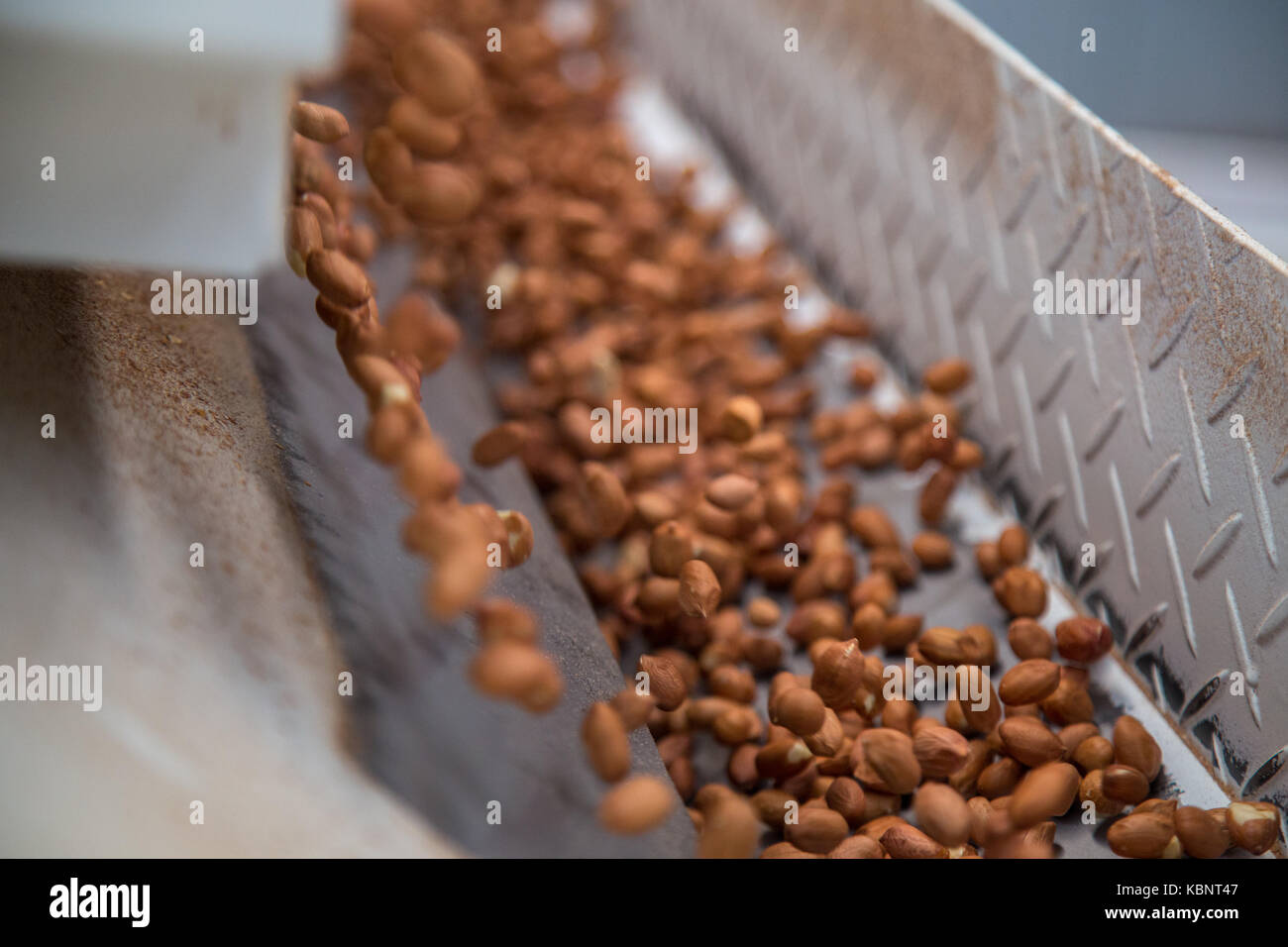 peanut process industry brazil Stock Photo - Alamy