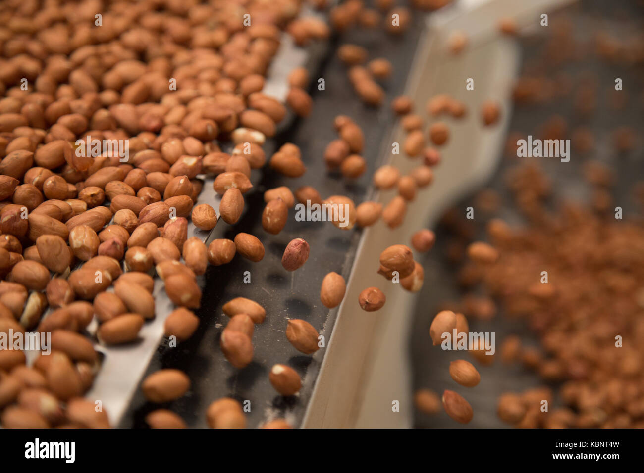 peanut process industry brazil Stock Photo - Alamy