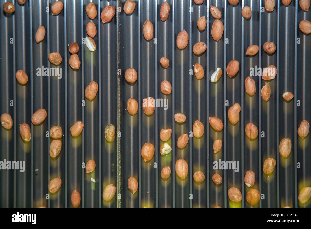 peanut process industry brazil Stock Photo - Alamy