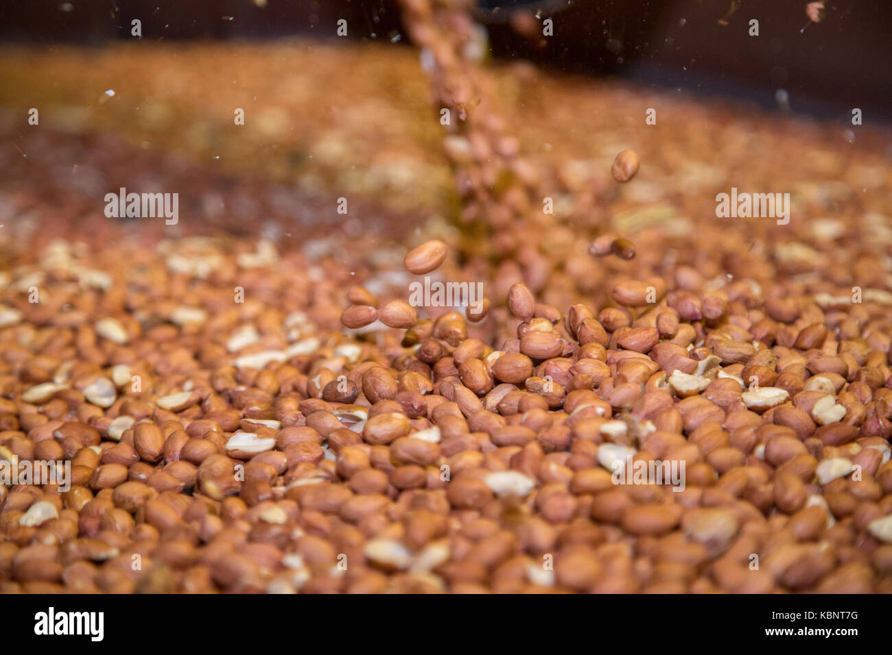peanut process industry brazil Stock Photo - Alamy