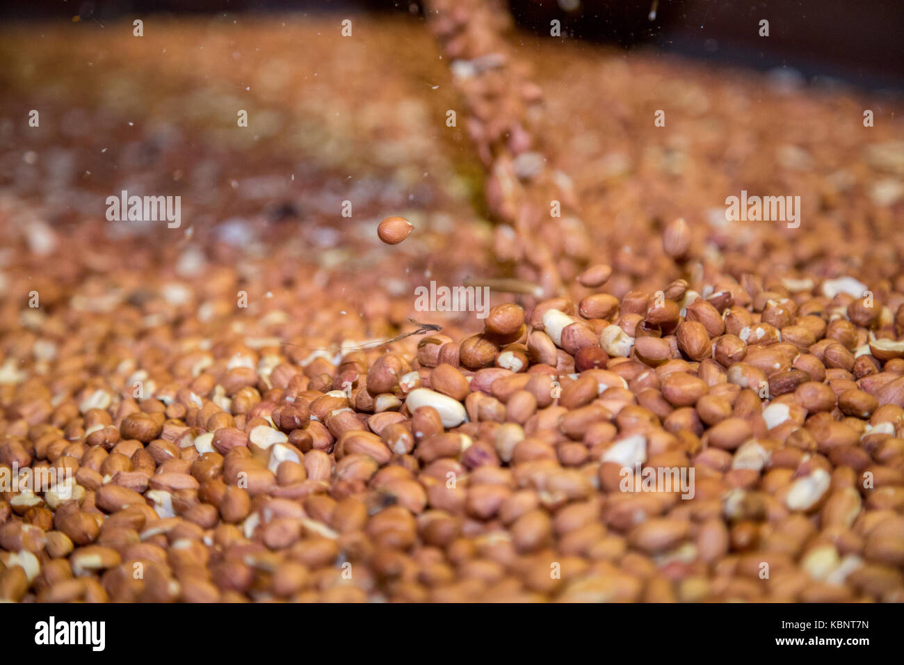 peanut process industry brazil Stock Photo - Alamy