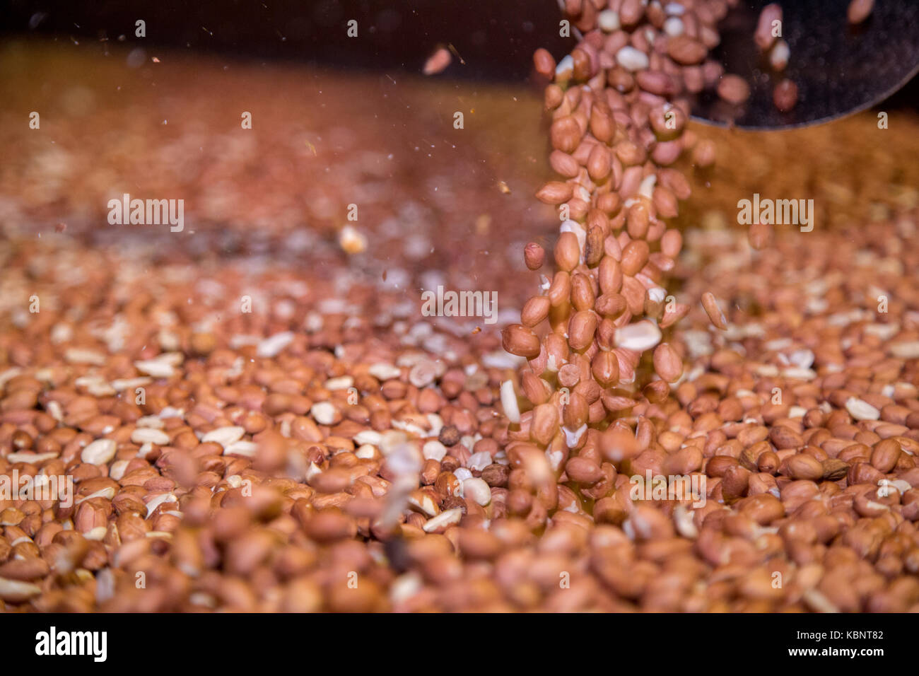 peanut process industry brazil Stock Photo - Alamy