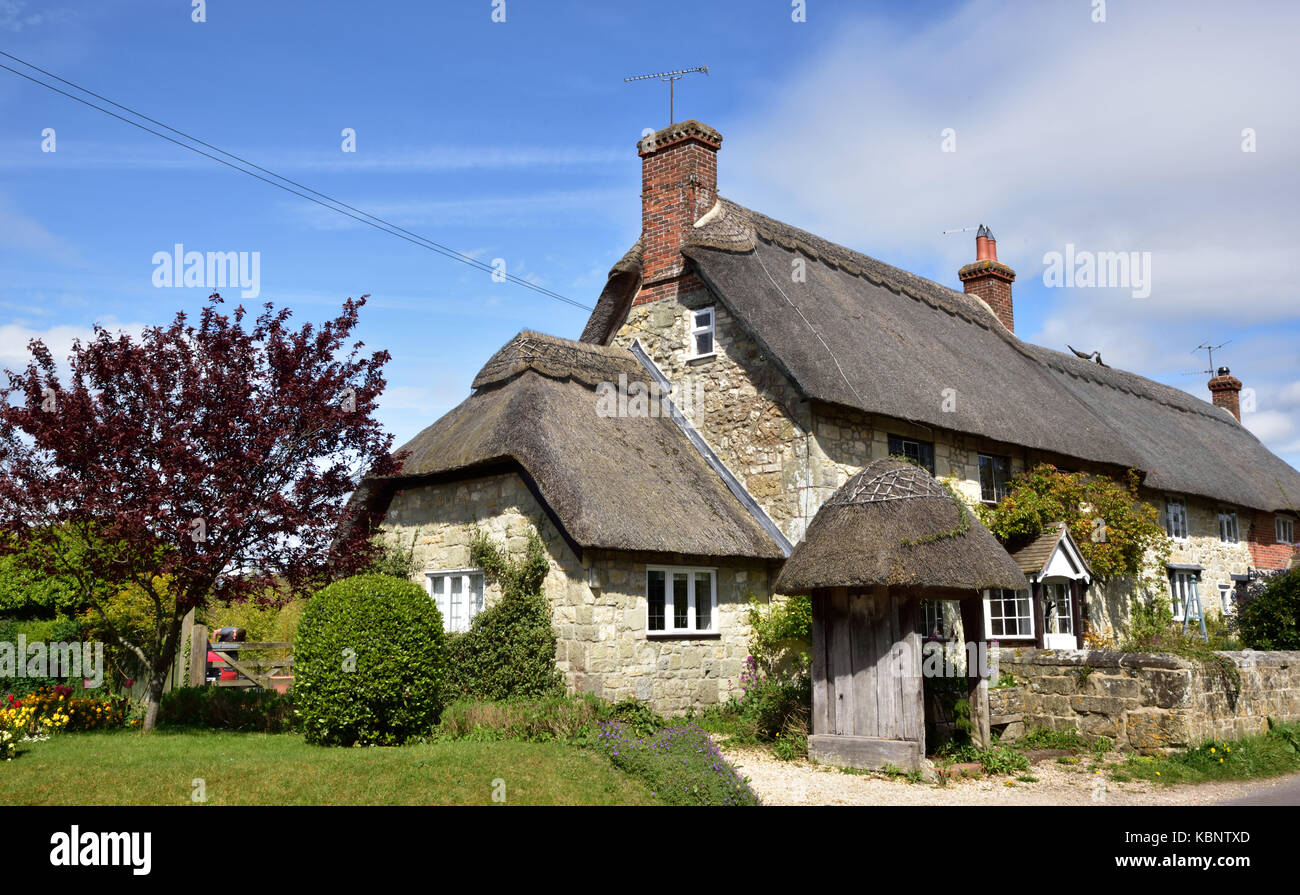 Thatched cottages in Fontmell Magna, Dorset Stock Photo - Alamy
