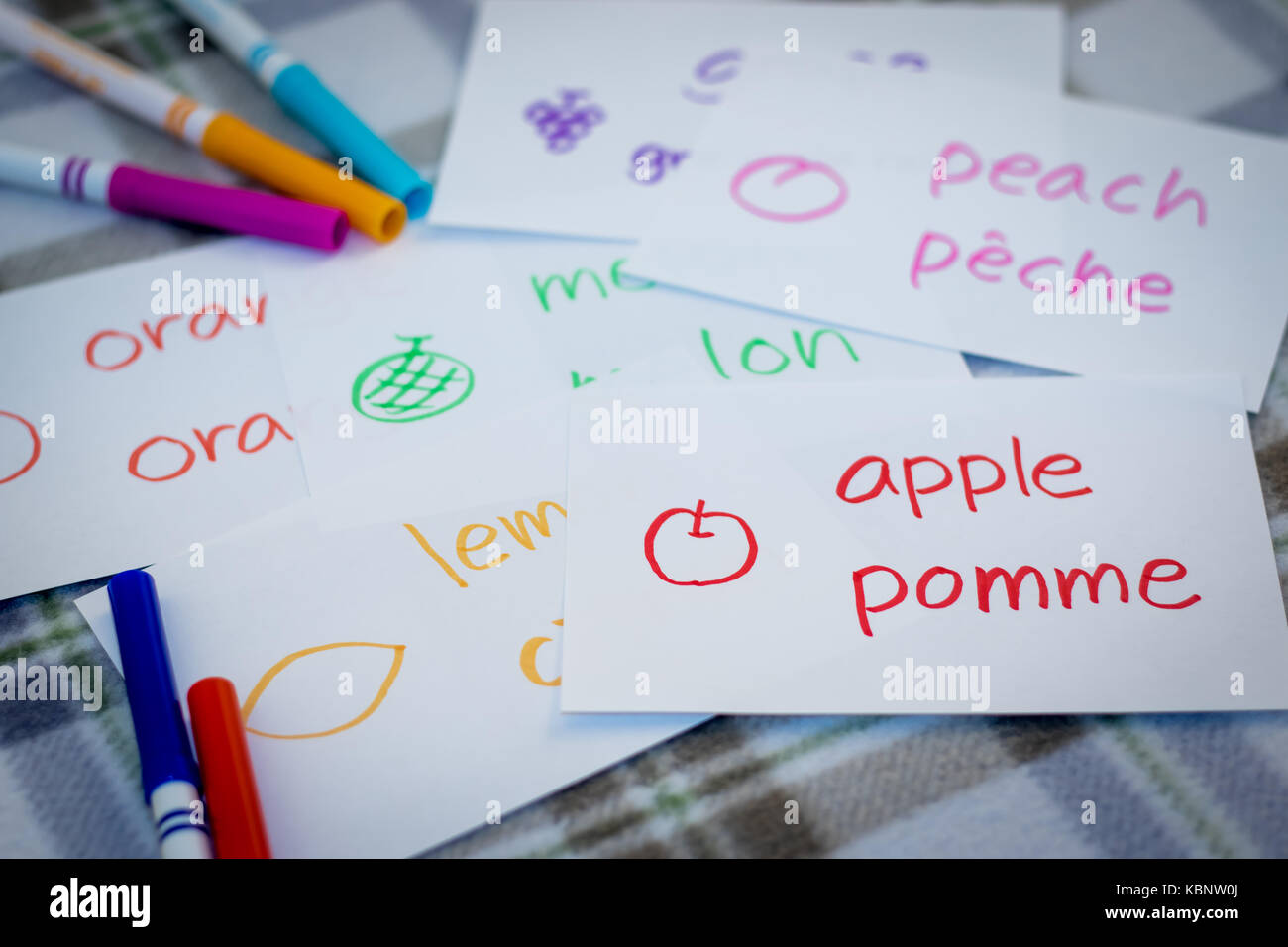 French; Learning New Language with Fruits Name Flash Cards Stock Photo ...
