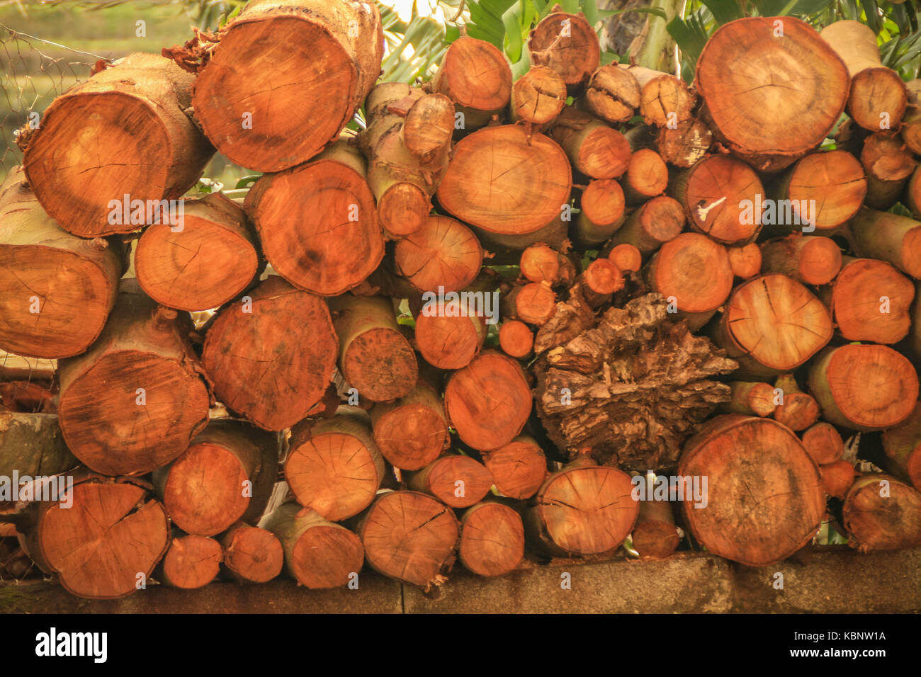 Pile of firewood Stock Photo - Alamy Pile of firewood Stock Photo - Alamy