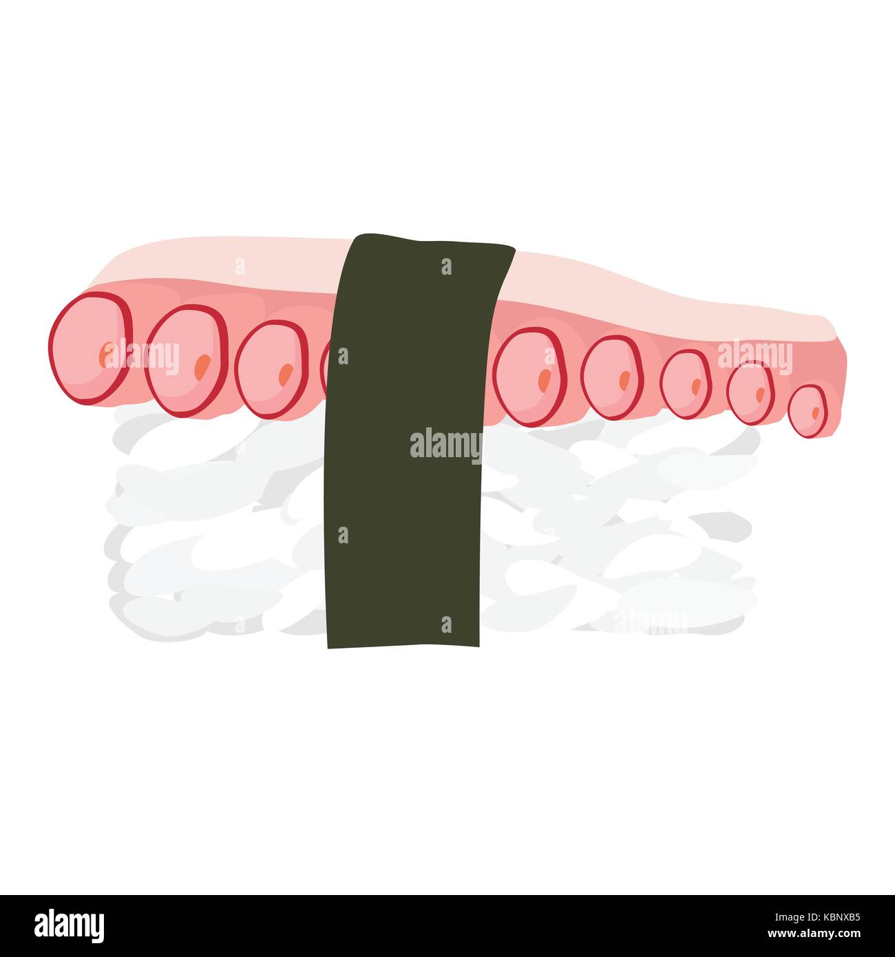 Vector illustration sushi tako nigiri with octopus isolated on white ...