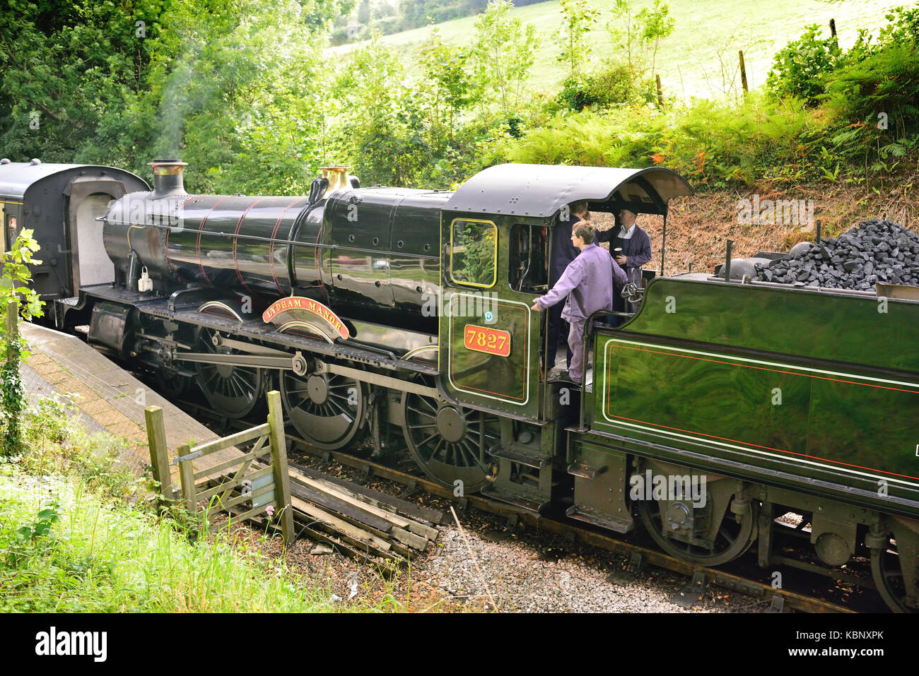 Steam train leaving Greenway Halt on the Dartmouth Steam Railway ...
