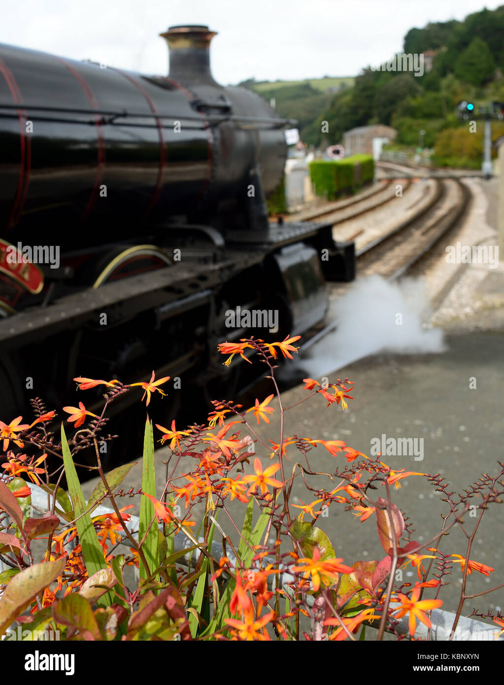 Steam train leaving Kingswear station on the Dartmouth Steam Railway ...