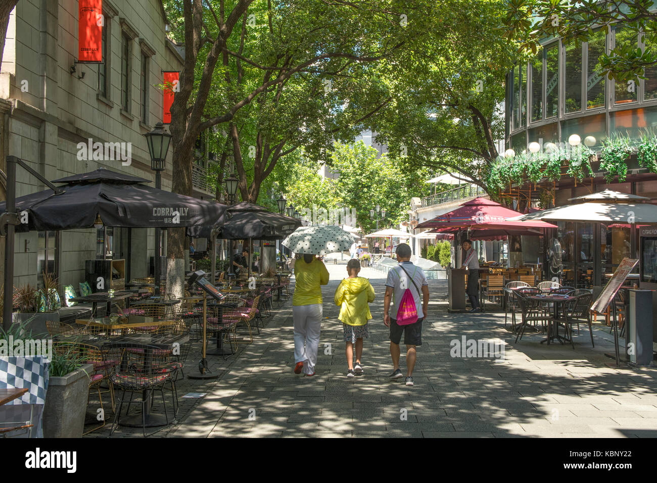 Avenue in French Concession Area, Shanghai, China Stock Photo - Alamy